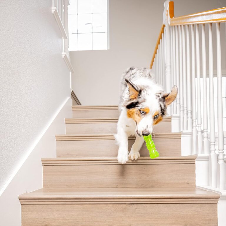 The Hyper Pet | Pet Products and Toys | Home