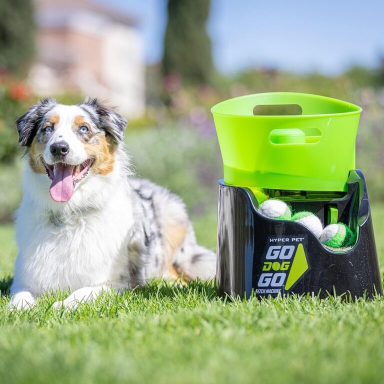 The Hyper Pet | Pet Products and Toys | Home